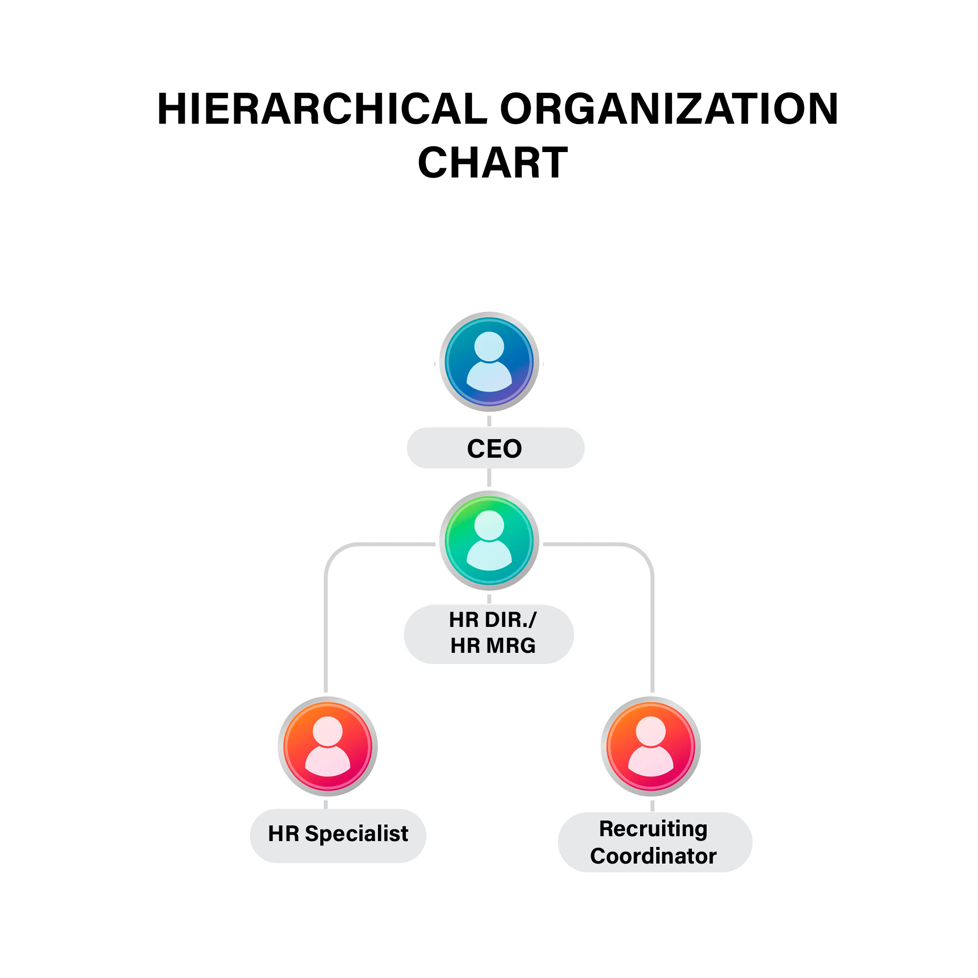 Understanding Hierarchical Organization Chart: An Informative Guide For HR